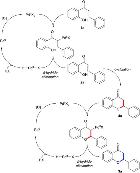 Divergent Synthesis Of Flavones And Flavanones From 2