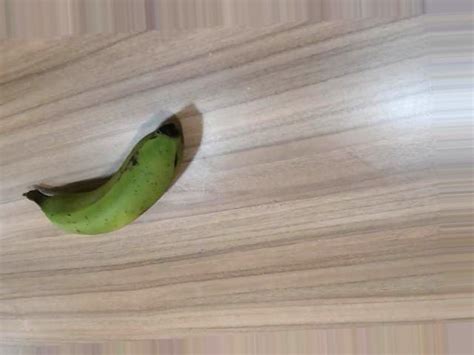 Ripeness Fruit Object Detection Dataset V16 2024 12 15 11 26pm By Joseph