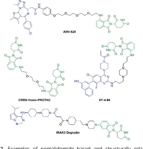 Figure 1 From Rapid Synthesis Of Pomalidomide Conjugates For The Development Of Protein Degrader