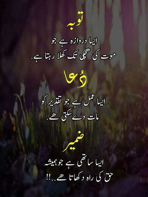 Muhammad Inam U Posted On Linkedin