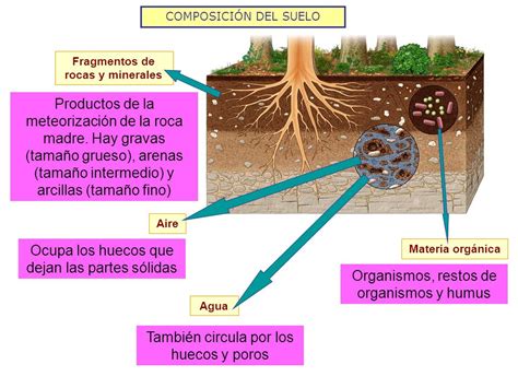 Certificacion Composicion De Los Suelos