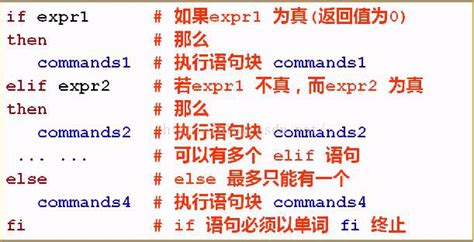 shell 编程基础 语法快速入门 快速入门shell语法 csdn博客