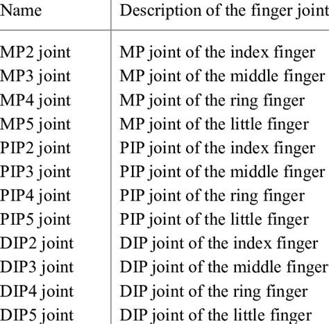 Description Of 12 Finger Joints Mp Metacarpophalangeal Pip Proximal Download Scientific