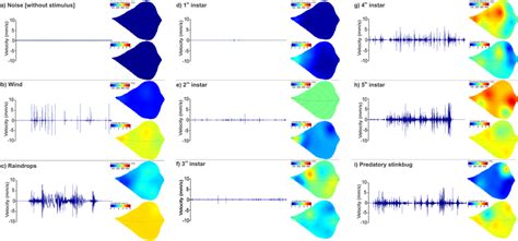 Waveforms And Spatial Distribution Of Dominant Frequency Top Right Download Scientific Diagram