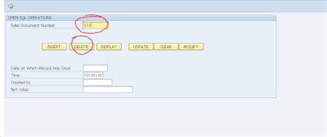 Sap Tech Open Sql Statements