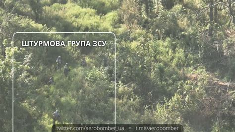 Camoflauge Object Detction Object Detection Dataset And Pre Trained Model By Sih