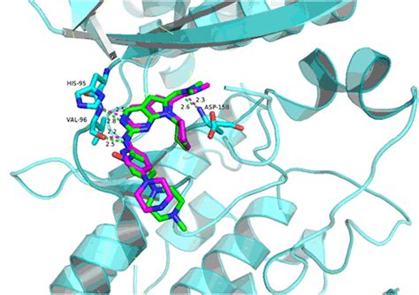 Representation Of The Predicted Binding Modes Of Compound 9a Green Download Scientific