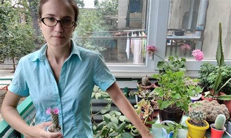 ლილიანის ეკლიანი გატაცება კვირის პალიტრა