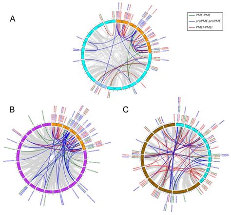 The Synteny Gene Pairs Were Parsed From The Plant Genome Duplication Download Scientific