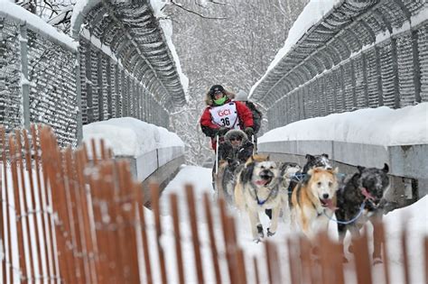 In Iditarod Ceremonial Start Mushers Receive Warm Welcome On A Tour Of
