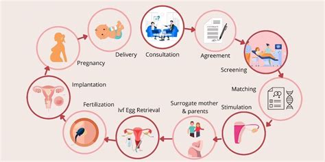 Best Ivf In Canada Ivf Success Rates In Canada Fertilityworld