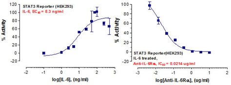 Stat3 Reporter Assaycompound Screening Services