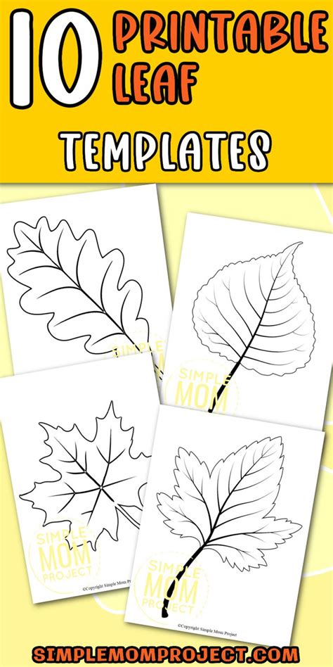 Free Printable Large Leaf Templates Stencils And Patterns Leaf
