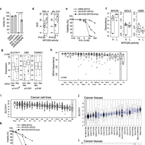 ChIP Seq Data For Histone Modifications RNA Seq Normalized Reads And Download Scientific
