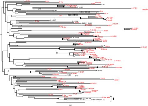 Clustering Analysis Of Hiv 1 Sequences From 108 Italians And 25