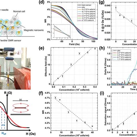 A Schematic Illustration Of The Detection Principle For Tumor Cell