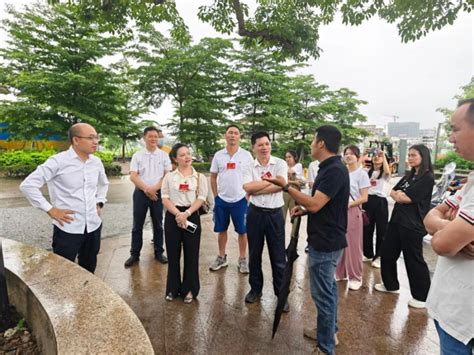 大涌镇聚力百千万工程凝聚人大代表力量 助推百千万工程提质增效 中山市人民政府门户网站中山市人民政府办公室