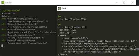 ASP NET Core 部署 Linux 搭配 Nginx 注意事項一則 黑暗執行緒