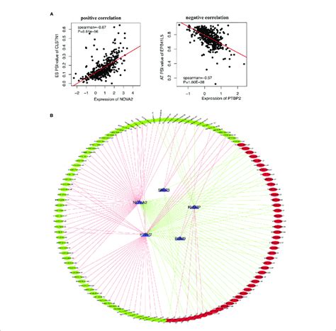 The Correlation Between The Targeting Sfs With As Events In Ptc A Download Scientific