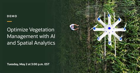 Haikel Hmidi On Linkedin Optimize Vegetation Management With Ai And Spatial Analytics