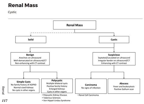 Causes Of Cystic Renal Mass Differential Diagnosis Grepmed