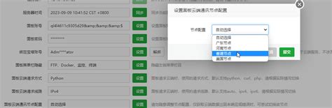 访问面板的时候进度条会加载很久不显示页面国外server利用低延迟梯子还有个bug就是没有下载服务器时不能查看网站建议增加提示 Panel 社区论坛