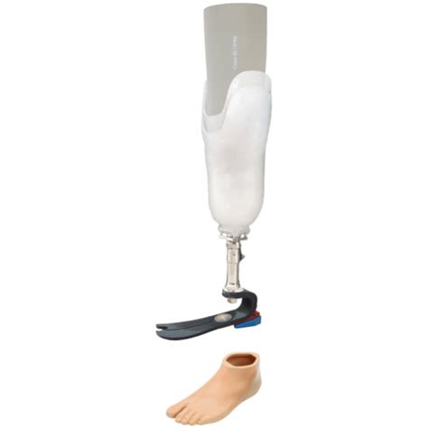 TTP Double Socket Ottobock Caleo 3D Locking Liner Freedom Restore