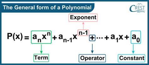 Polynomial For Class 1 Notes Mental Maths