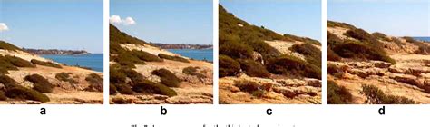 Figure 1 From Unsupervised Texture Based Image Segmentation Through Pattern Discovery Semantic