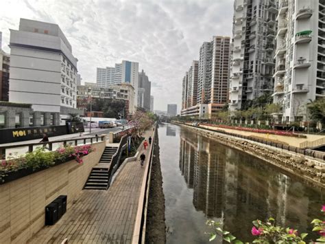 罗湖今年将推动辖区生态环境质量实现新突破 罗湖社区家园网