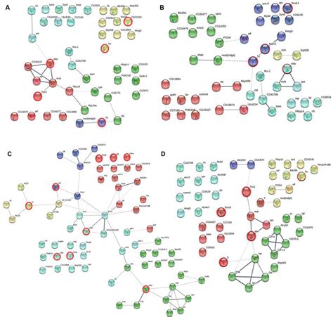 Proteingene Interaction Networks Of Genes Common Between Modern Download Scientific Diagram