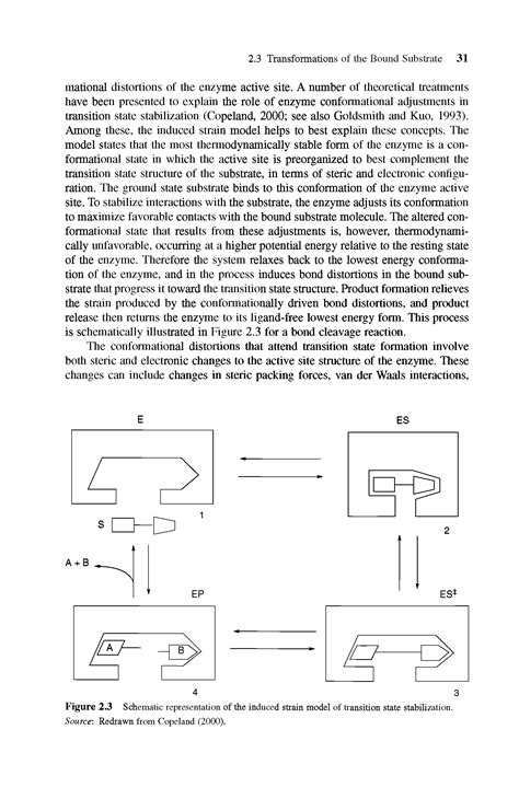 Transition State Stabilization Big Chemical Encyclopedia