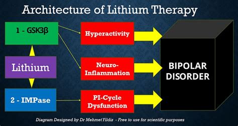Lithium Orotate Why This Unique Molecule Might Save Lives Based On My Intense Research The