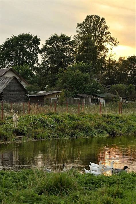 Пин от пользователя Tanny Che на доске Collage Item Pins в 2025 г Пейзажи Эстетика Здания