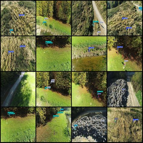 基于yolov11的山林搜索与救援失踪被困人员检测系统python源码pytorch模型评估指标曲线精美gui界面 Csdn博客