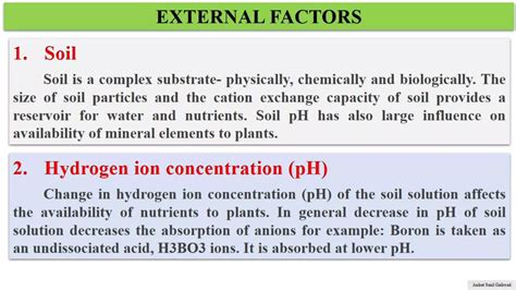 Modern Concept Of Nutrient Availability Pptx