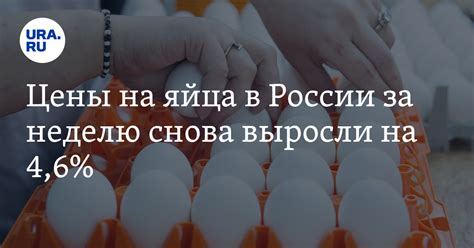 Цены на яйца в России за неделю снова выросли на 4,6%