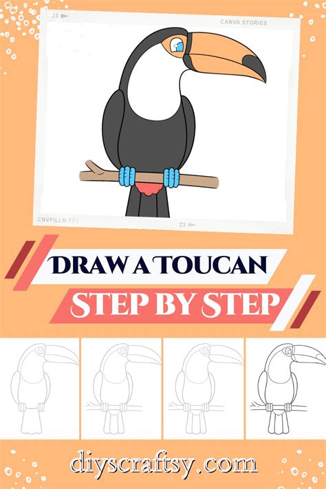Toucan Drawing Ideas How To Draw Toucan DIYsCraftsy
