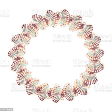 조개 껍질의 화환 해양 조성 프레임 고립된 배경에 수채화 그림 엽서 장식의 디자인 0명에 대한 스톡 벡터 아트 및 기타 이미지 Istock