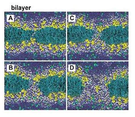 Perspectives On External Electric Fields In Molecular Simulation Progress Prospects And Challenges