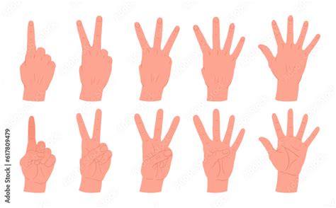 Cartoon Counting Hands Gestures Human Palms With Count From One To Five Gestures Hands With