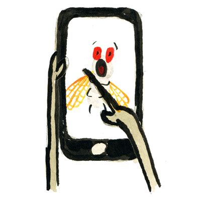 Females Have All The Power In Brood X Cicada Sex Relationships The Washington Post