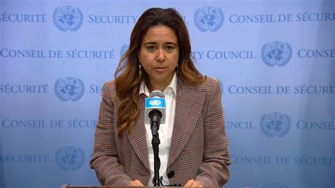 Un Sudan Security Council Era Ong