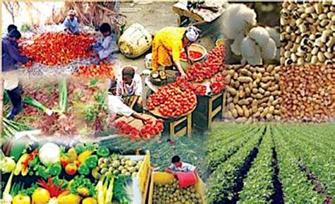 A Call For Economic Diversification
