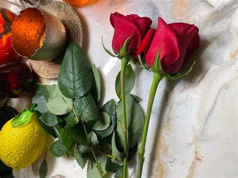 Idera Nimah Yusuf On Linkedin Programming Poetry Frontend