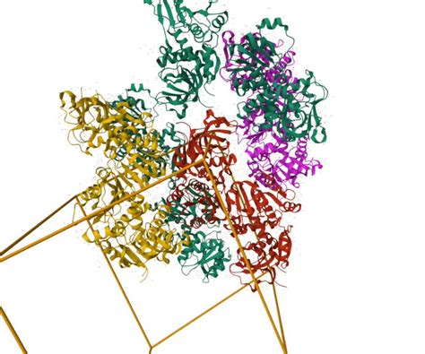 Vishwa Structural Biology On Linkedin Symmetry Related Protein Molecules In The Unit Cells