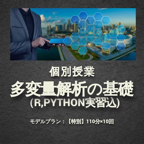 多変量解析の基礎 （r Python実習込 和から 大人のための数学・統計教室