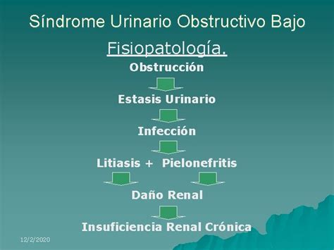 Sndrome Urinario Obstructivo Bajo Dr Octavio M De