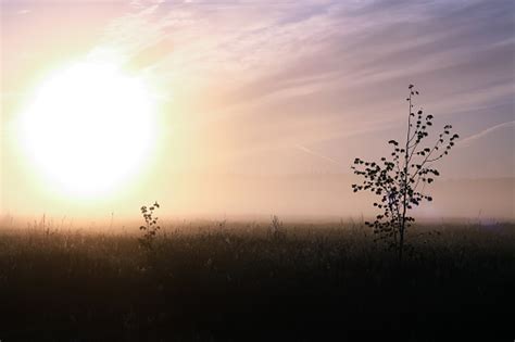 하늘에 여러 가지 빛깔의 구름이 있는 초원 위에 안개가 자욱한 일출 그림 같은 시골 풍경 안개 낀 아침 자연에서 색상 세상의 아름다움 0명에 대한 스톡 사진 및 기타 이미지
