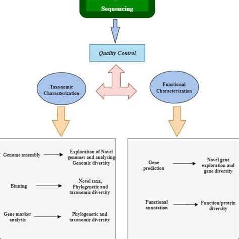 Metagenomic Analysis Of Microbial Communities With Regard To The Download Scientific Diagram